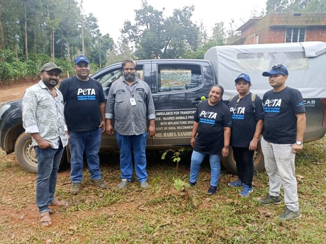Heartwarming Scenes as PETA India Brings Disaster Relief to Animals in ...