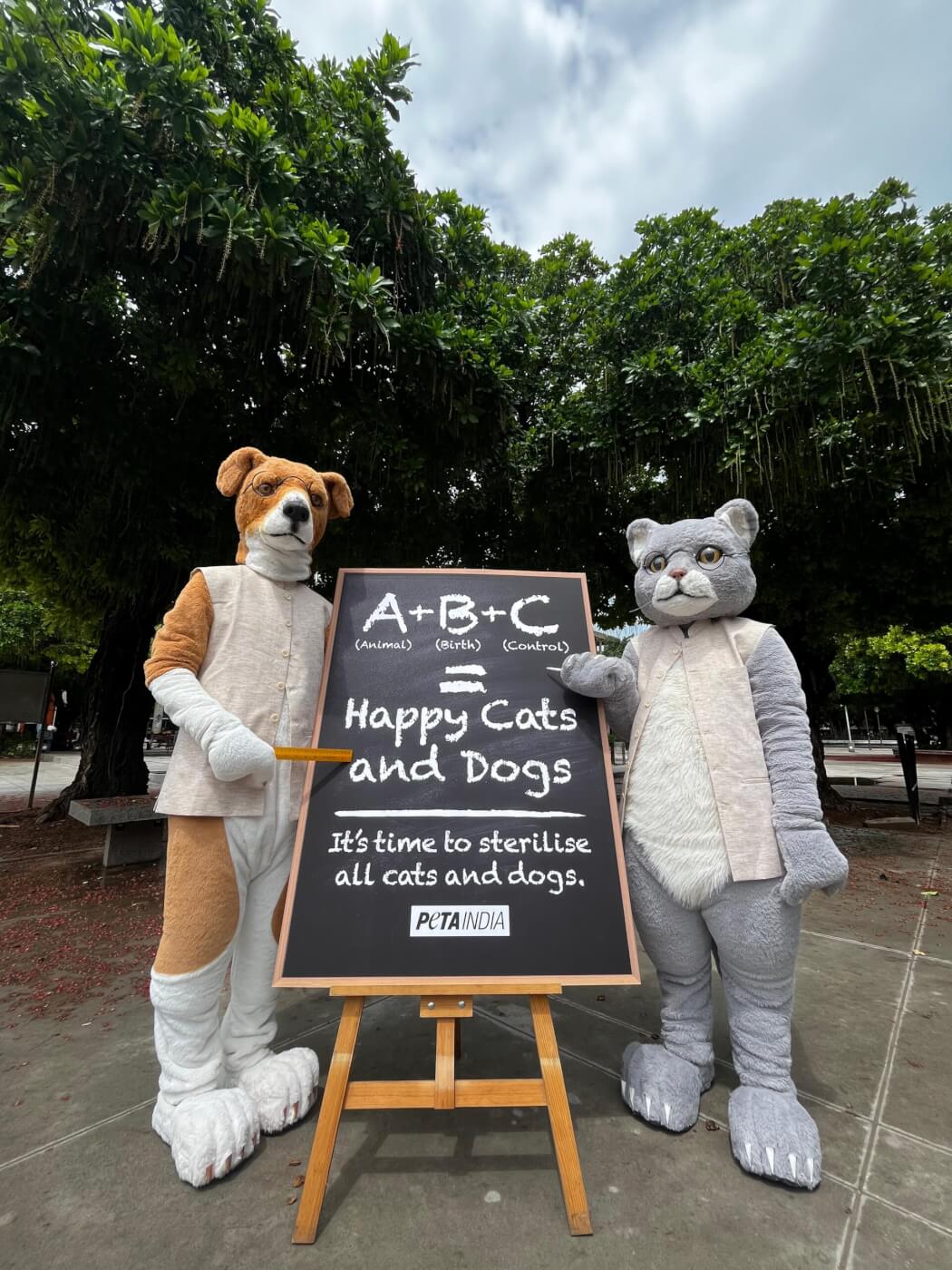 Giant ‘Cat’ and ‘Dog’ Mark Teacher’s Day With Lesson on ABCs: Animal ...