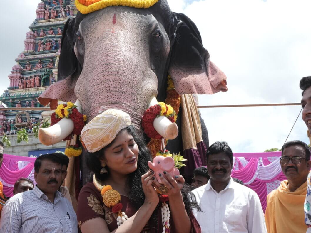 Animal Advocacy: Celebrities Lead the Way in 2024 - Blog - PETA India