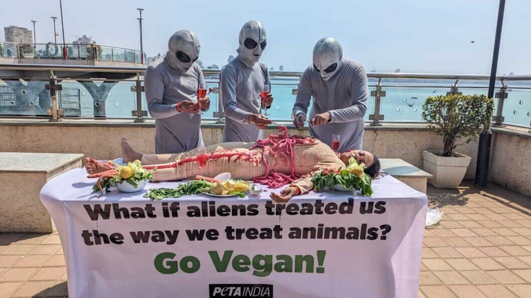 Inspiring Change: PETA India's Top 10 Demonstrations of 2024 - Blog ...