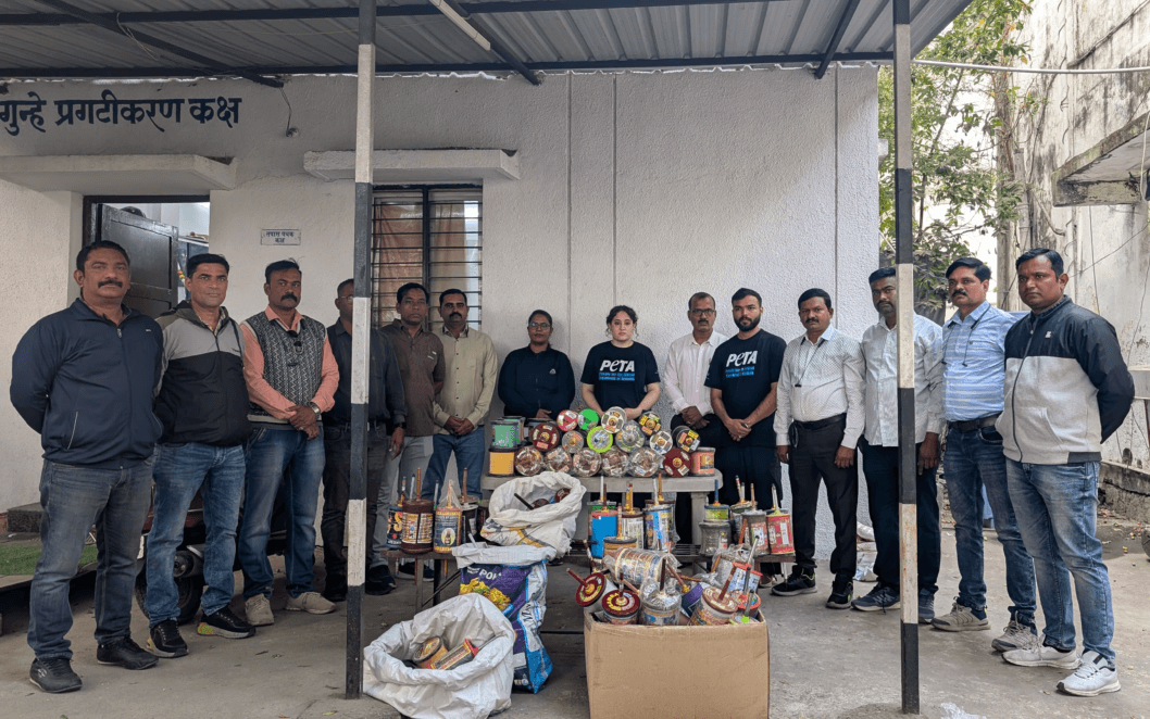 Nagpur City Police and PETA India Seize Hundreds of Spools of Banned ...