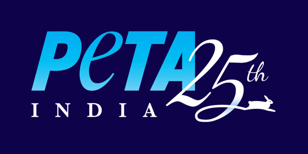 PETA India: India’s Animal Rights Organisation | PETA India