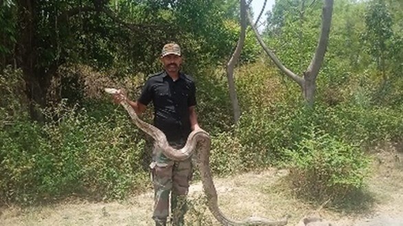 2024 A Landmark Year for Animal Rescues: Emergency and Rapid Response ...