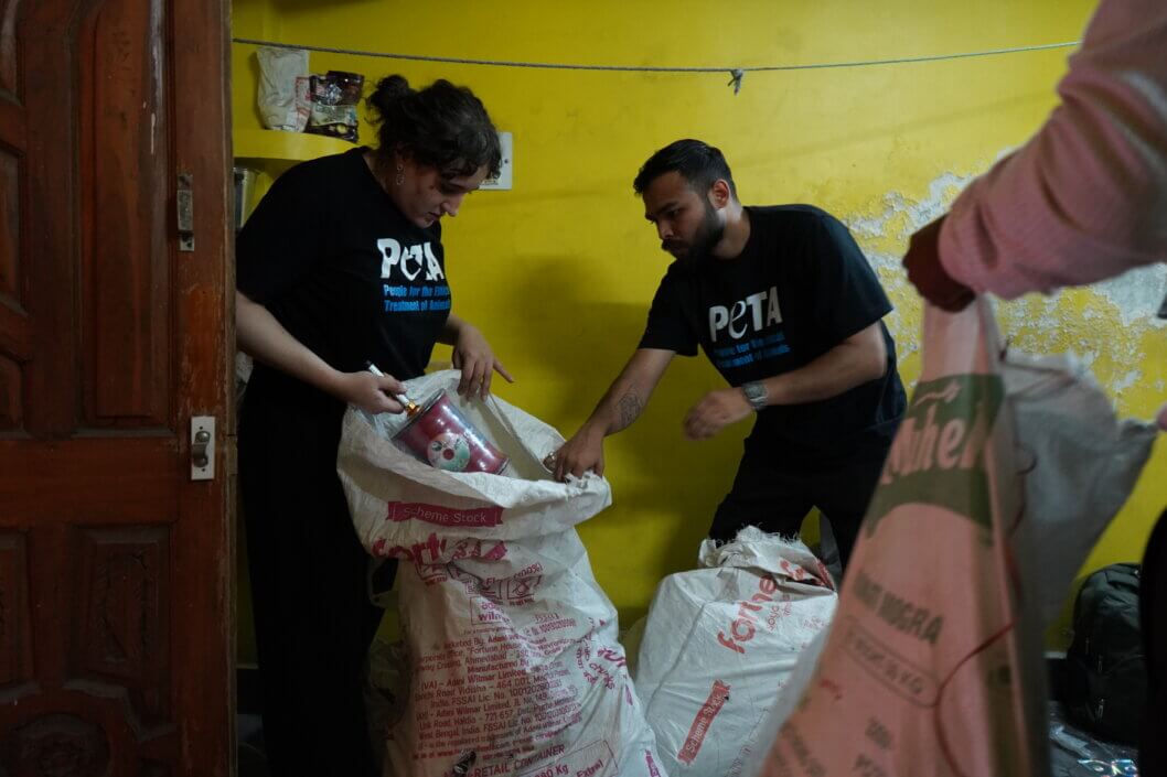 Nagpur City Police and PETA India Seize Hundreds of Spools of Banned ...
