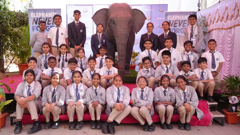 Bengaluru School Visited by Asia’s First Empathy Building Animatronic ...