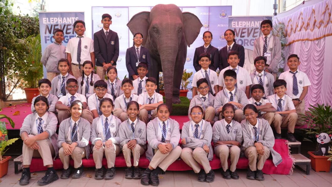 Bengaluru School Visited by Asia’s First Empathy Building Animatronic ...