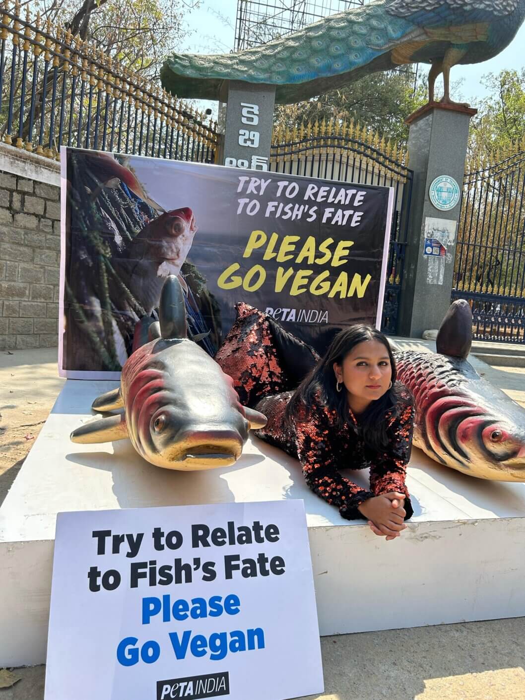 PETA India Supporter Takes a Fish’s Place and Urges Hyderabad Residents ...