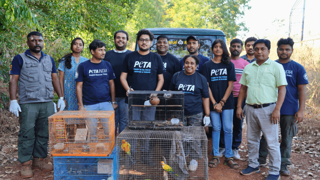 Over 200 Animals Rescued From Illegal Pet Shop and Breeder Following ...