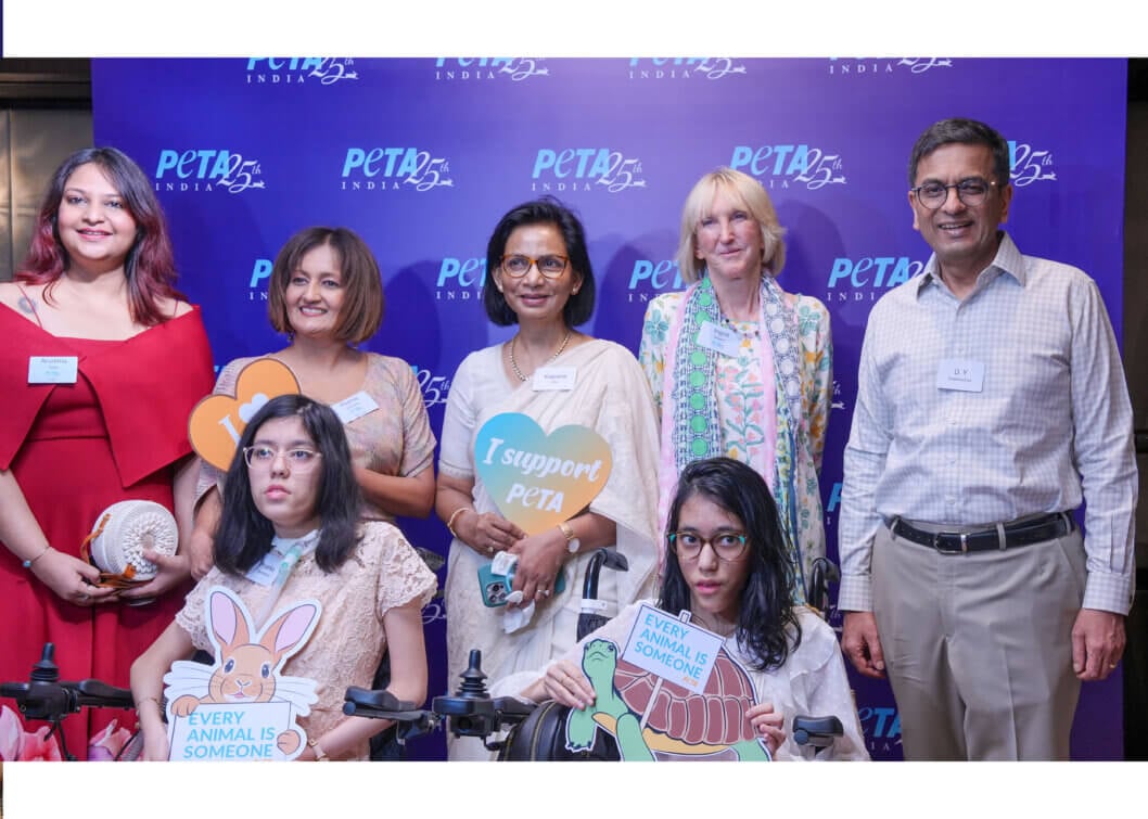 Retired Chief Justice of India, Dr. DY Chandrachud, and Family are ...