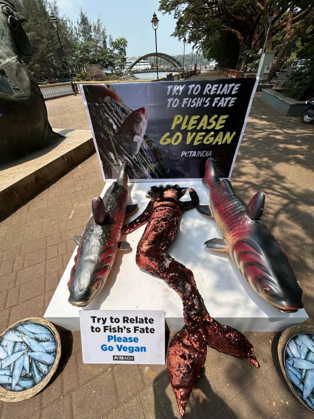 PETA India Supporter Takes a Fish's Place and Urges Goans to Go Vegan ...