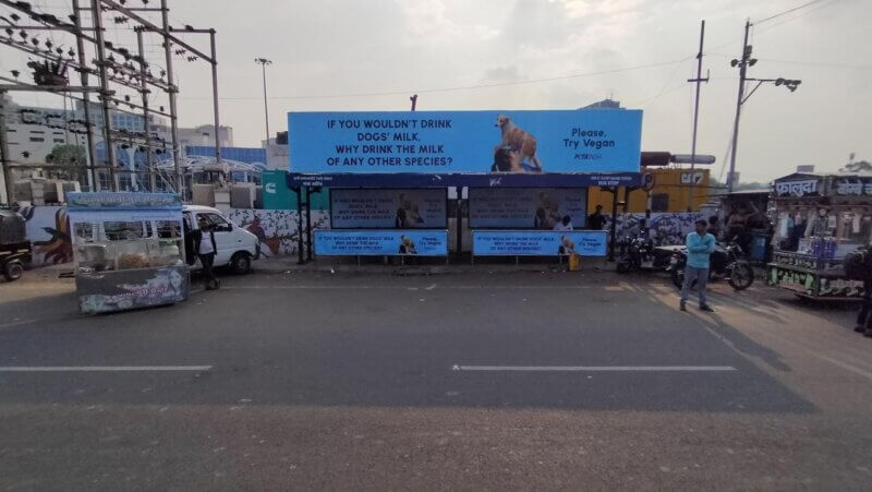 World Milk Day PETA India Billboard Asks “If You Wouldn’t Drink Dogs ...
