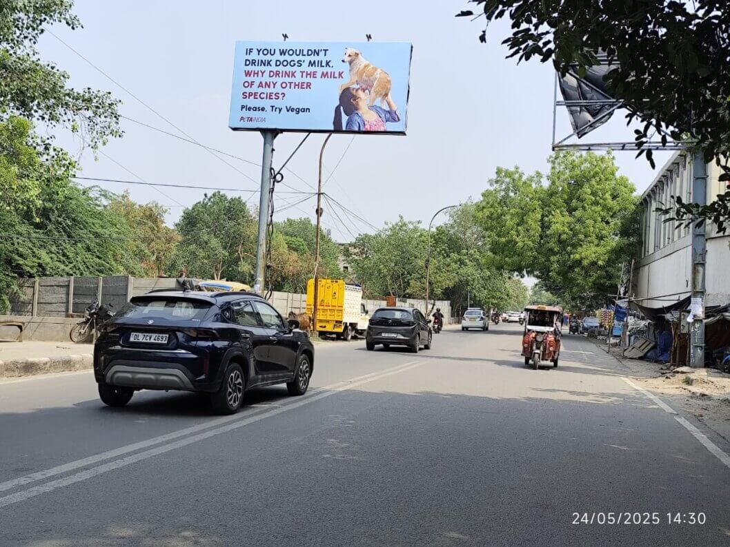 World Milk Day PETA India Billboard Asks “If You Wouldn’t Drink Dogs ...