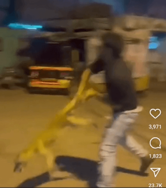 Nanded Police Registers FIR Against Man for Torturing A Dog in Viral ...