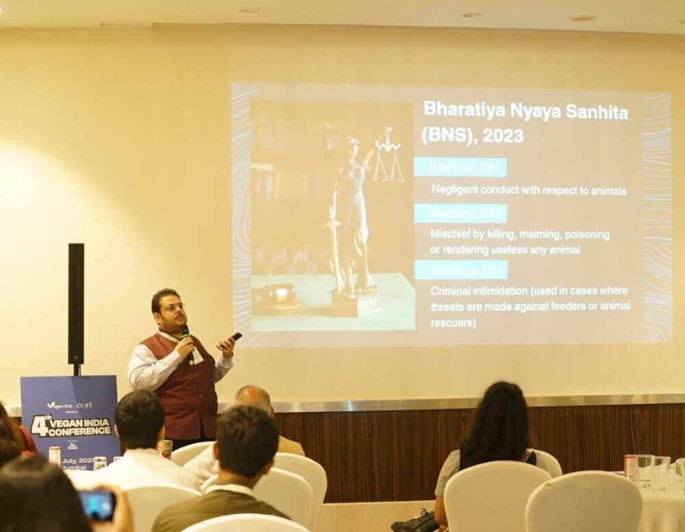 Aliens, Advocacy and Compassionate Alternatives: PETA India at the ...