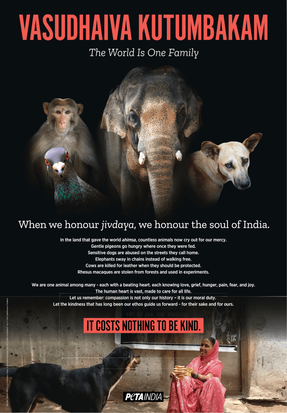 With Dogs, Pigeons, Wildlife & Other Species Under Increasing Attack ...