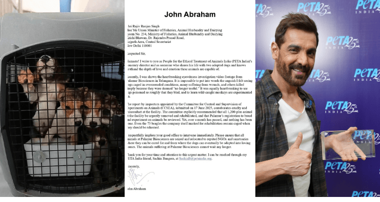 Dog Dad John Abraham Urges Union Cabinet Minister to Urgently Rescue ...