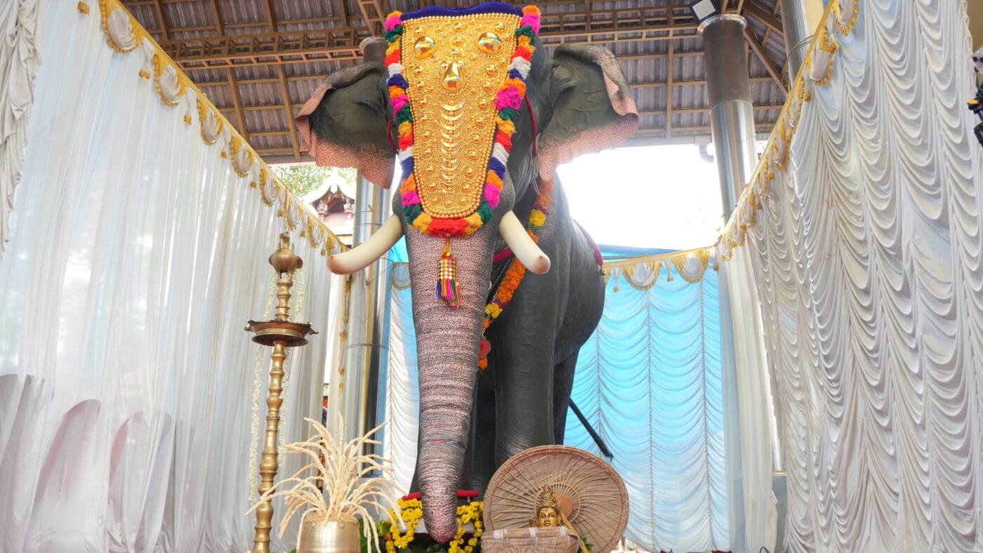 Jackie Shroff and PETA India Gift Stunning Mechanical Elephant to ...