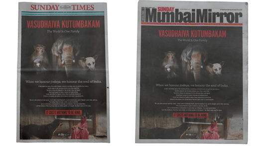 With Dogs, Pigeons, Wildlife & Other Species Under Increasing Attack ...