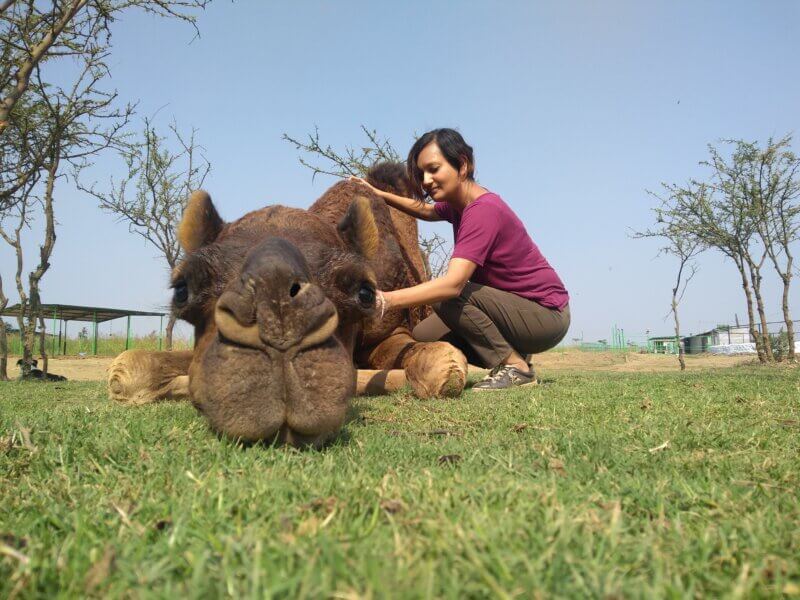 From Intern to President: Poorva Joshipura Spreads Jivdaya to the World ...
