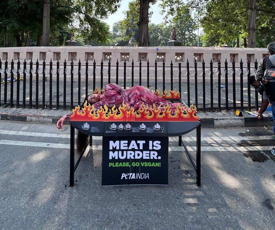 ‘Charred’ Human ‘Barbecued’ Ahead of World Food Day - Blog - PETA India