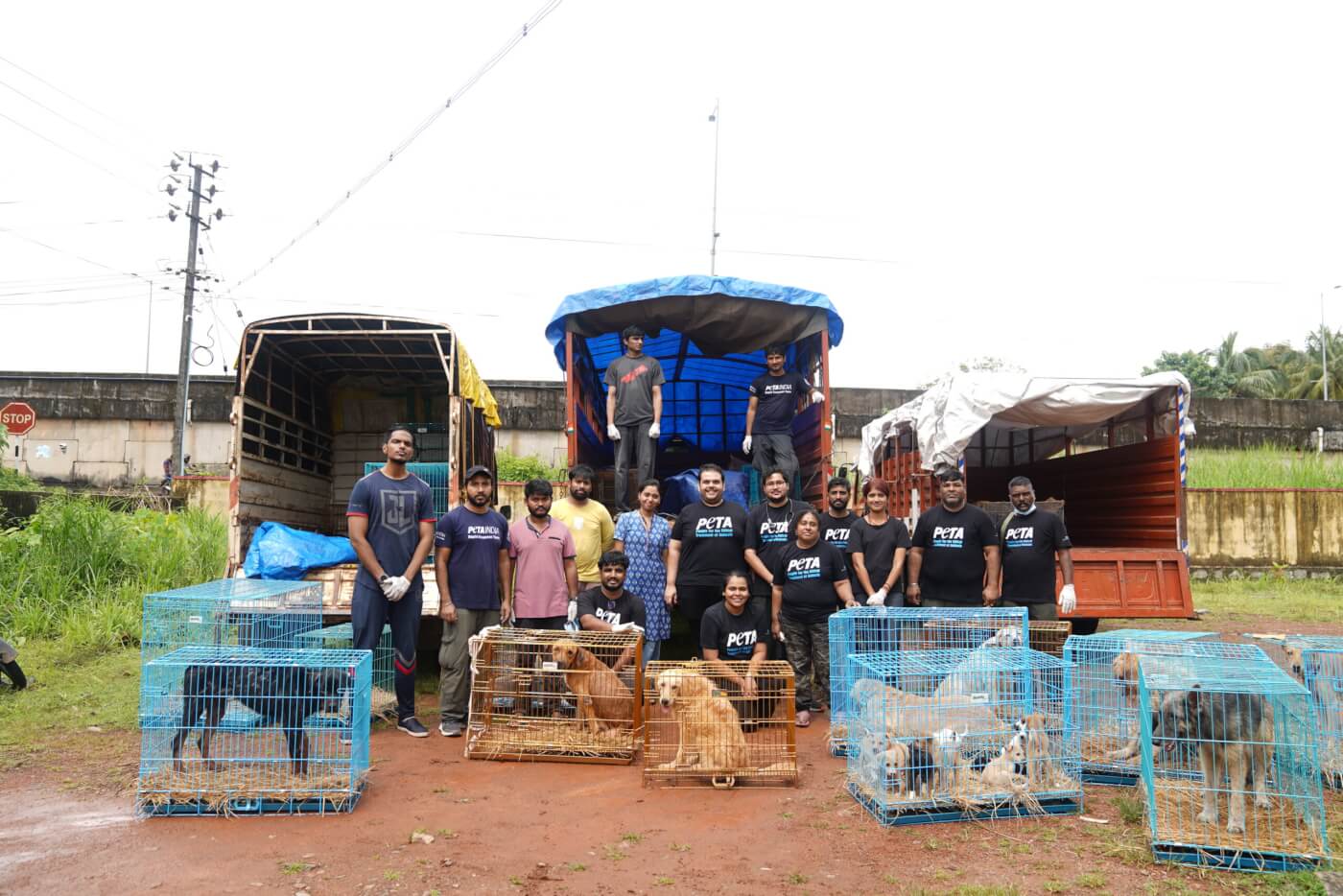 Udupi: Nearly 100 More Animals Rescued From Illegal Hoarding Hellhole ...