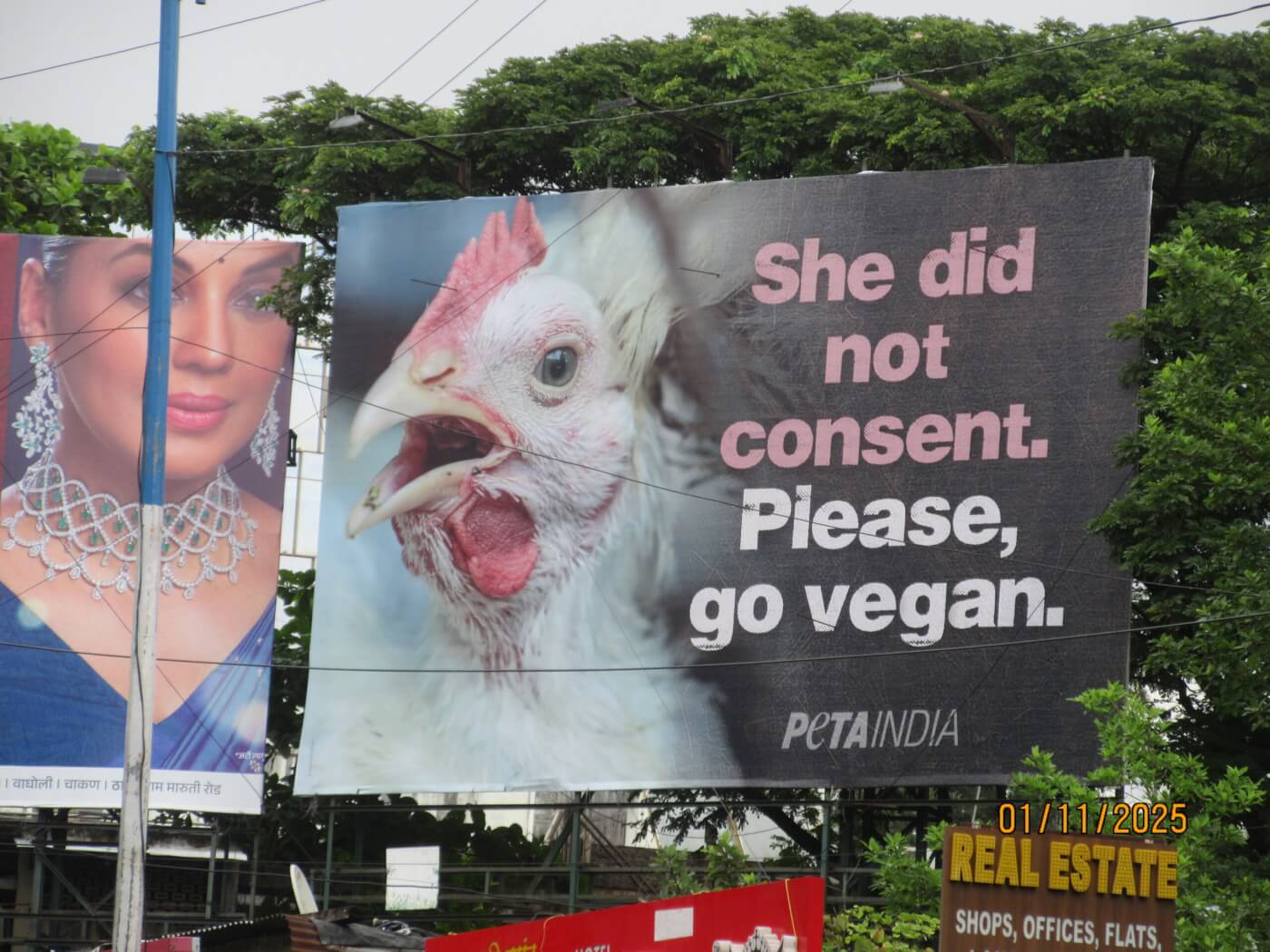 ‘She Did Not Consent’ PETA India World Vegan Month Billboard Campaign ...
