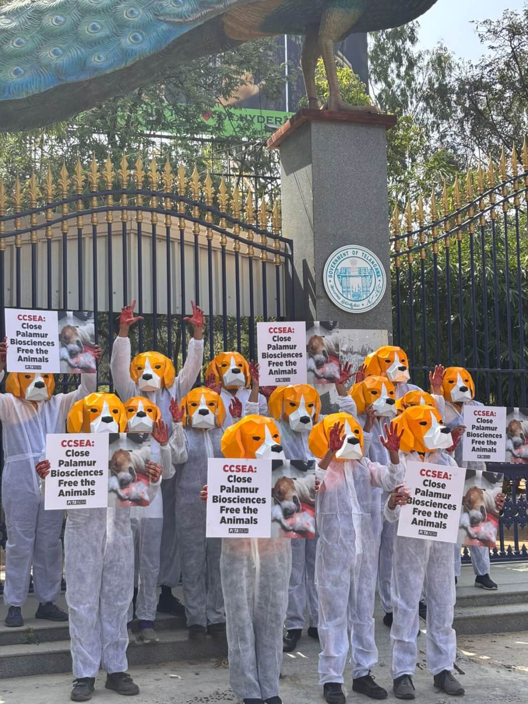 Blood on Their Hands: PETA India’s ‘Beagles’ Urge Immediate Rescue of ...