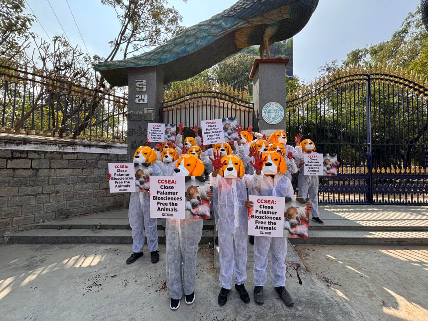 Blood on Their Hands: PETA India’s ‘Beagles’ Urge Immediate Rescue of ...