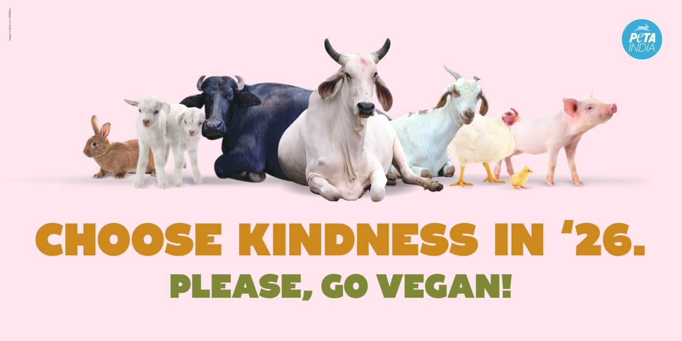 Animals Urge ‘Choose Kindness in '26’ in New Year PETA India Pro-Vegan ...