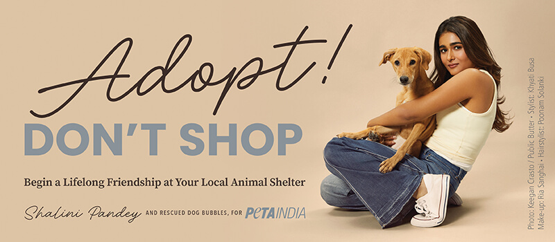 Actor Shalini Pandey Stars in New PETA India Pro-Adoption Campaign ...