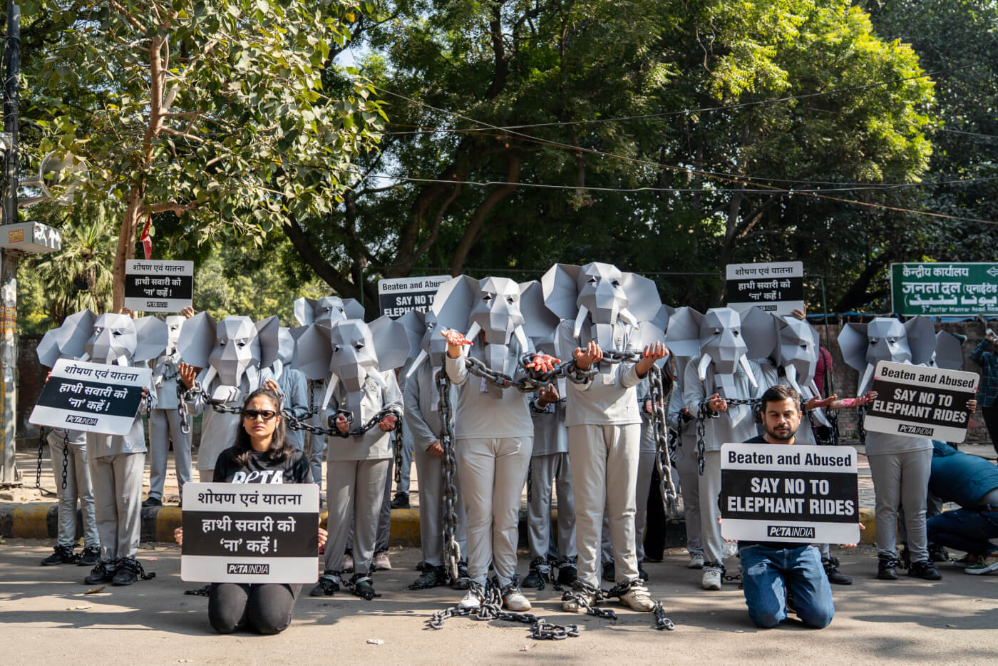Turning Streets into Statements: How PETA India’s Demonstrations ...