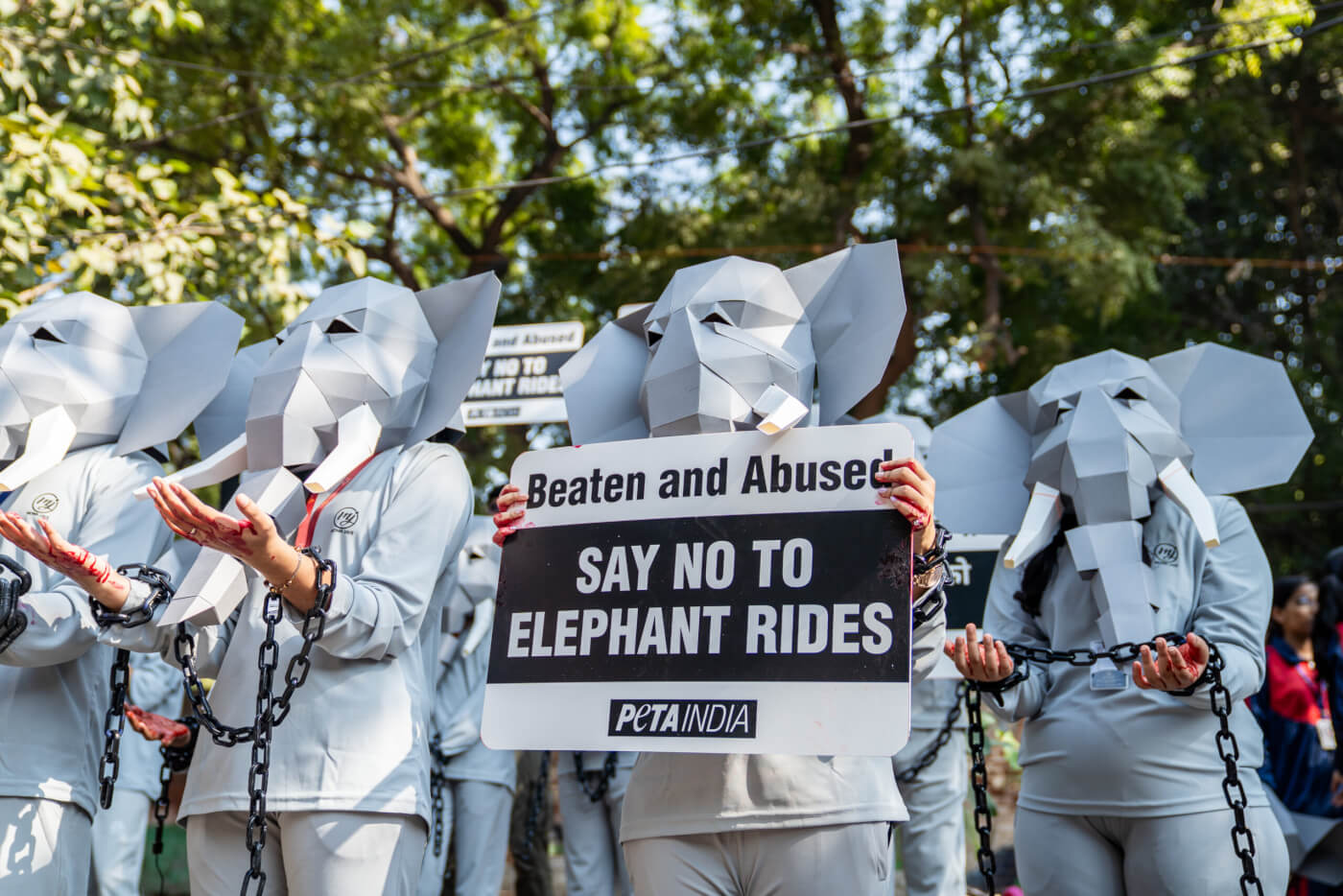 Turning Streets into Statements: How PETA India’s Demonstrations ...