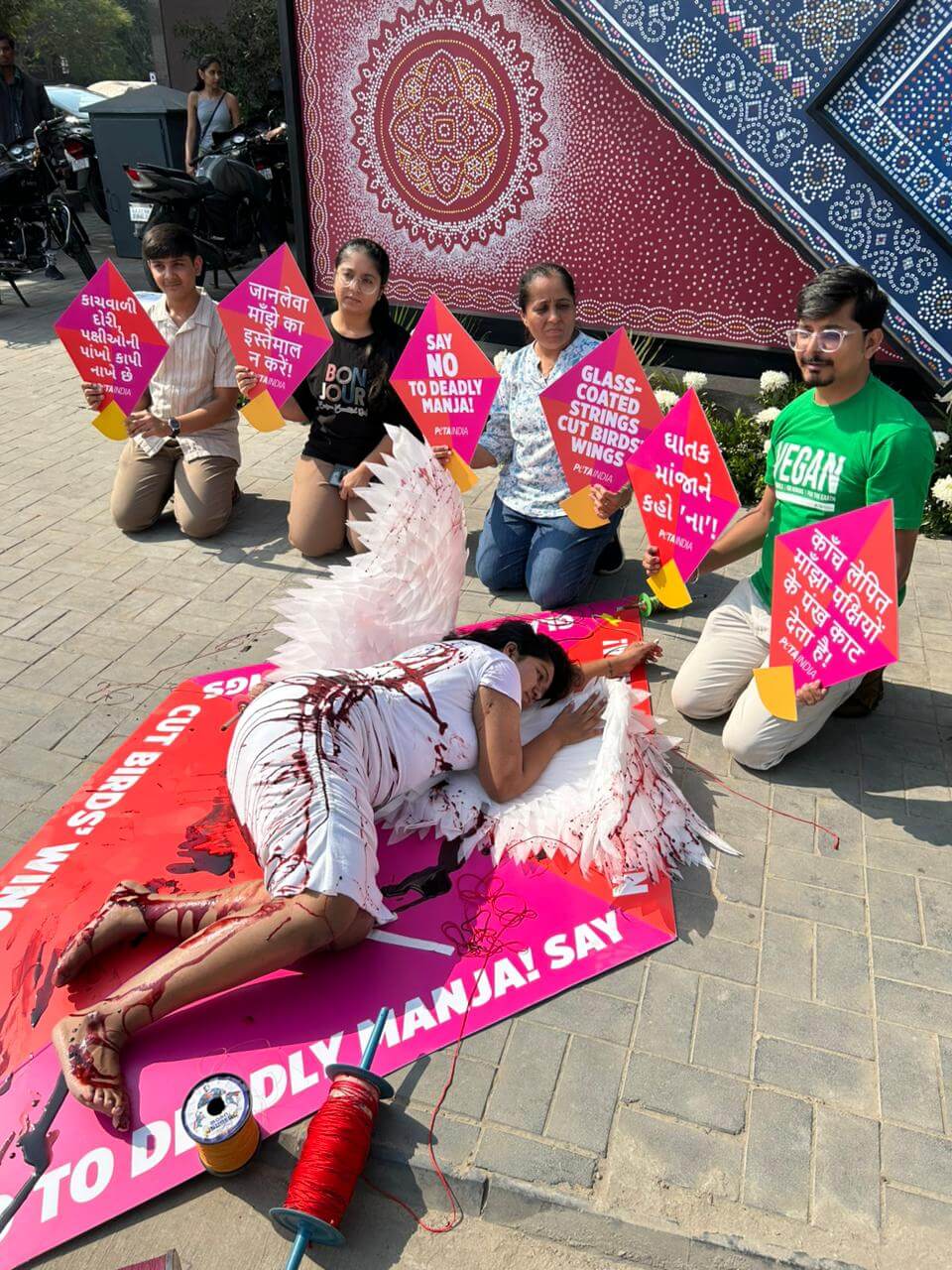 ‘Injured Bird’ on a Giant Kite Appeals to Amdavadis to Consider Birds ...