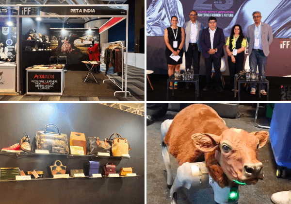 ‘Are You Wearing My Mom?’ PETA India’s New AI-Powered Calf Robot ‘Jeev ...
